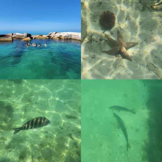 St Pete Beach: Private Boat tour for watersports snorkeling - Key Points