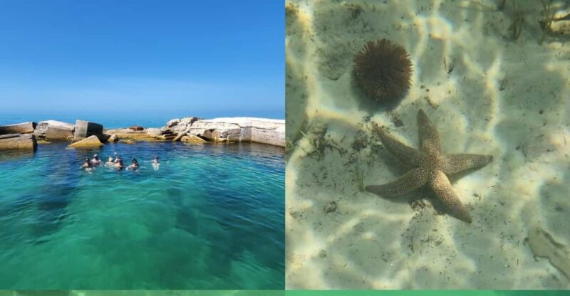 St Pete Beach: Private Boat tour for watersports snorkeling - Who Will Love This Experience