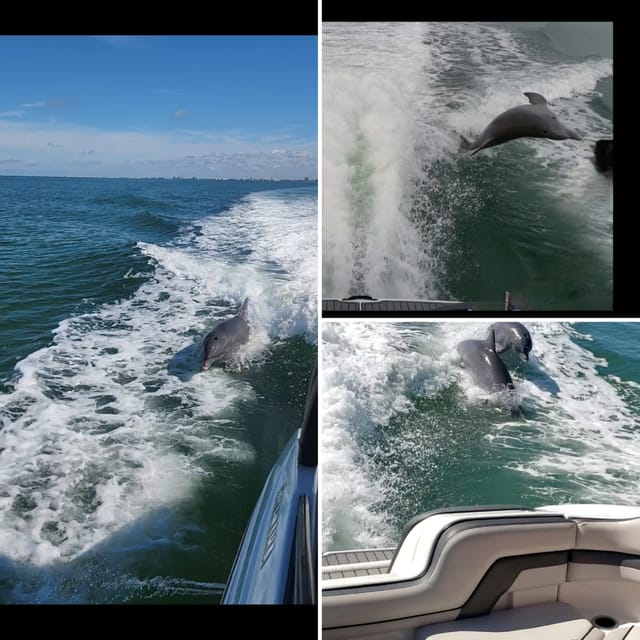 St Pete Beach: Private Boat tour for watersports snorkeling - The Sum Up