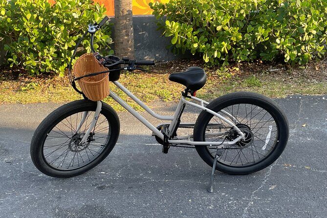 St Pete E-Bike Rentals - Why Choose an E-Bike Rental in St Petersburg?