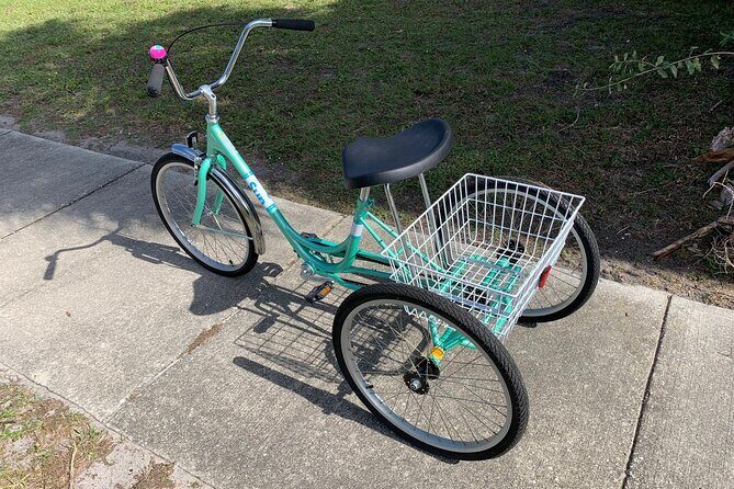 St Pete E-Bike Rentals - Authentic Insights from Reviews