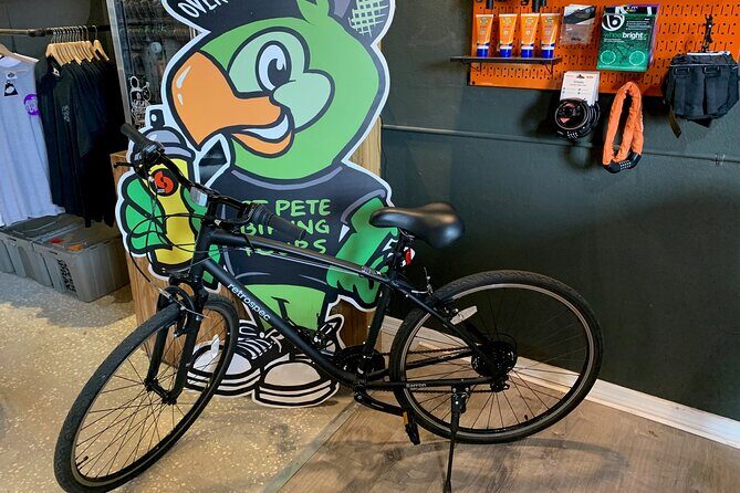 St Pete E-Bike Rentals - The Sum Up: Who Will Love This Experience?