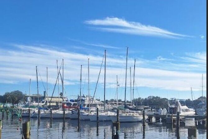 St Pete Sip & Dine- a Walking/Culinary Tour (age 21+) - Who Should Consider This Tour?