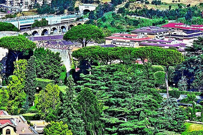 St. Peters Basilica and Papal Grottoes Review - Exploring the Papal Grottoes