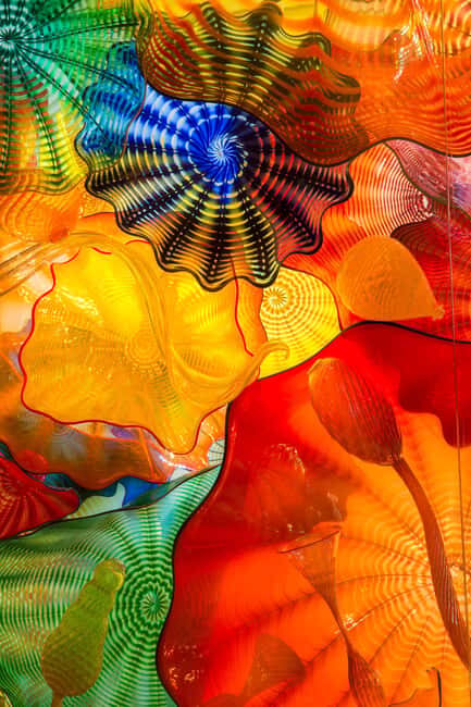St. Petersburg: Chihuly Collection Admission Ticket - Practical Details and Tips
