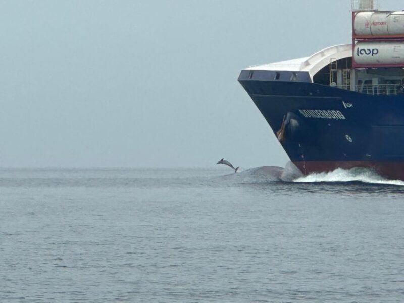 St. Petersburg, FL: 3 Hour Eco Tour with Island Hopping - In The Sum Up