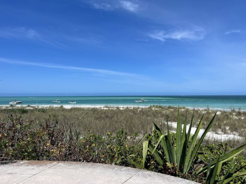 St. Petersburg, FL: 4-Hour Catamaran Cruise to Egmont Key - Authentic Experiences and Feedback