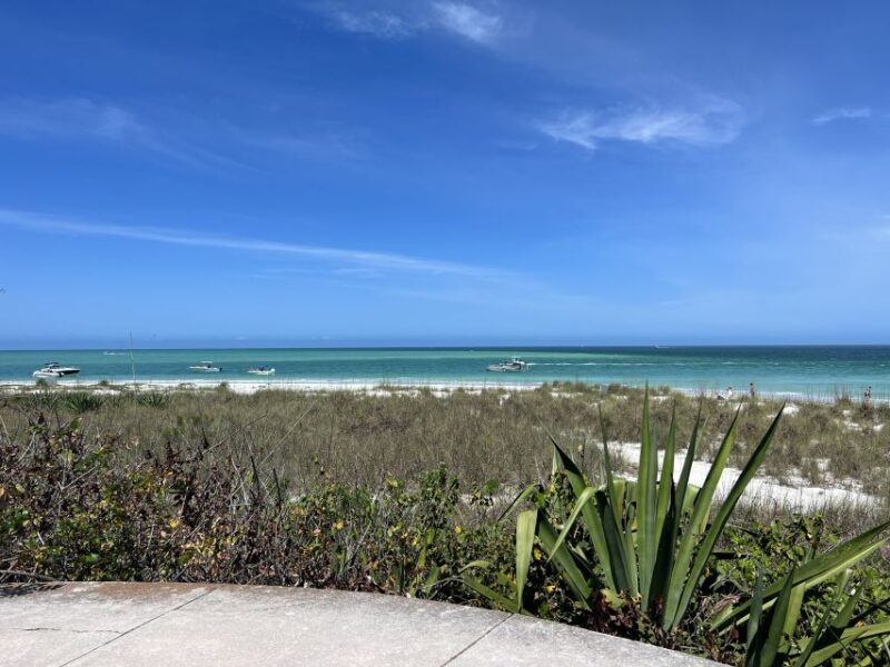 St. Petersburg, FL: 4-Hour Catamaran Cruise to Egmont Key - Why This Tour Makes Sense