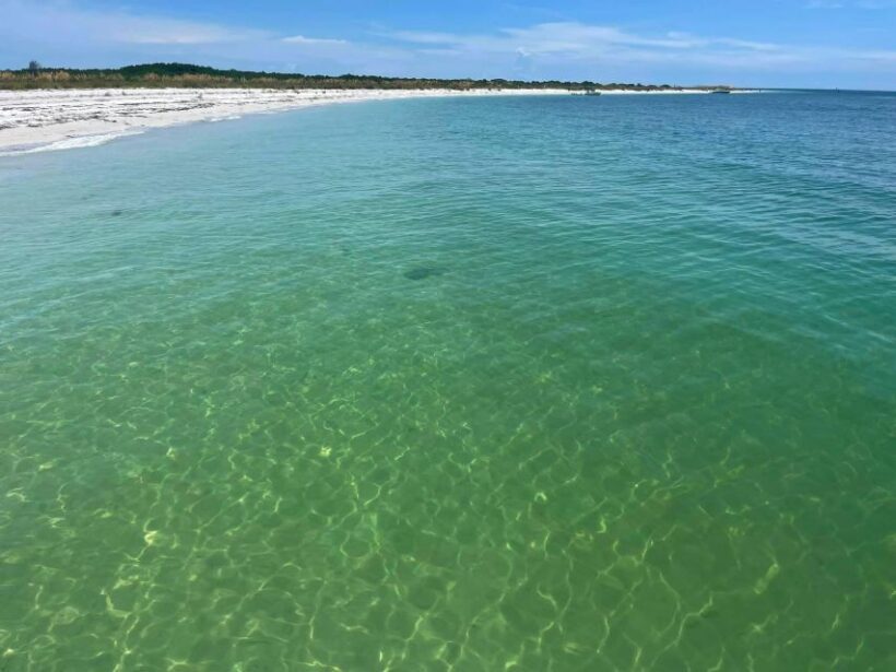 St. Petersburg, FL: 4-Hour Private Beach Tour - What We Love & What to Keep in Mind