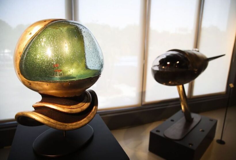 St. Petersburg, FL: Imagine Museum Admission Ticket - Artistic Highlights You Shouldn’t Miss