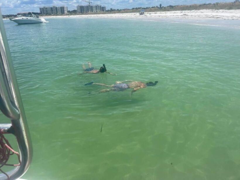 St. Petersburg, FL: Private 5-Hour Egmont Key Boat Tour - FAQ