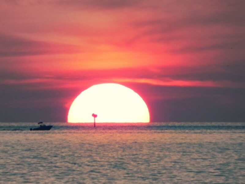 St. Petersburg, FL: Sunset & Skyway Bridge Lights Tour - The Value Proposition