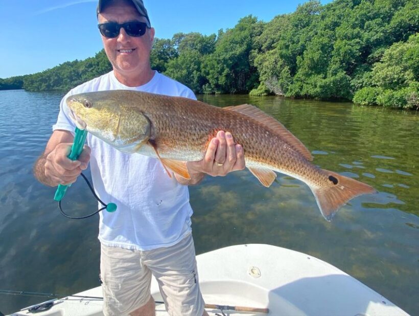 St. Petersburg, FL: Tampa Bay Private Inshore Fishing Trip - The Value of the Experience
