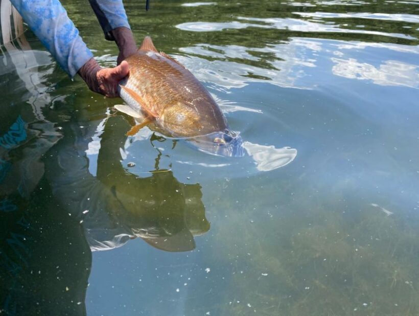 St. Petersburg, FL: Tampa Bay Private Inshore Fishing Trip - The Itinerary in Detail