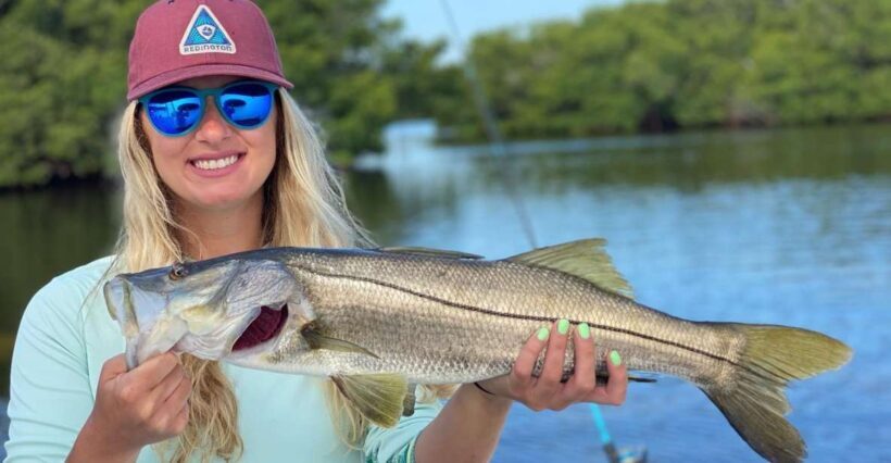 St. Petersburg, FL: Tampa Bay Private Inshore Fishing Trip - The Sum Up: Who Will Love This Trip?