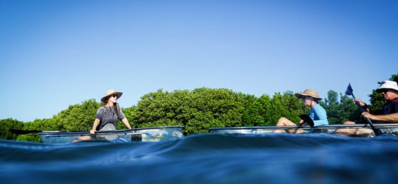 St. Petersburg, FL: Weedon Island Kayak Tour - What to Expect on the Tour
