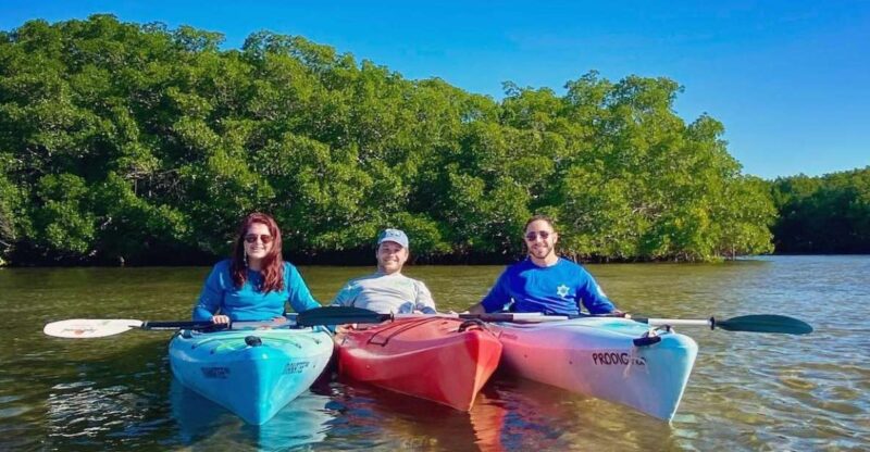St. Petersburg, FL: Weedon Island Kayak Tour - Final Thoughts