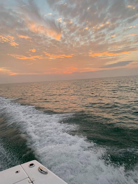 St Petersburg: In-Shore Fishing Charter - The Perfect Audience for This Tour