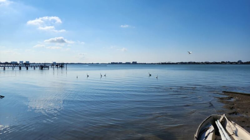 St. Petersburg: Jungle Prada Site History Tour - The Sum Up