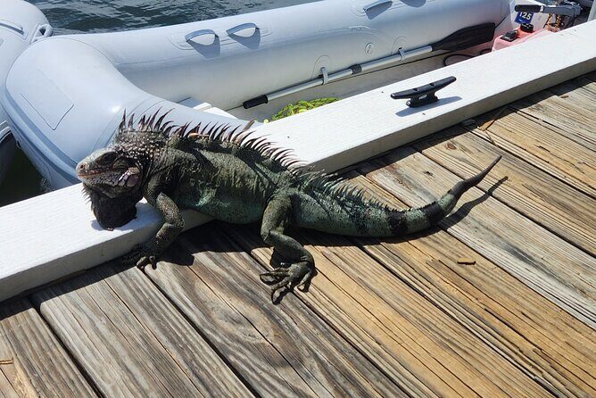 St Thomas - Jeep Tour Customized Itinerary 5hrs - FAQ