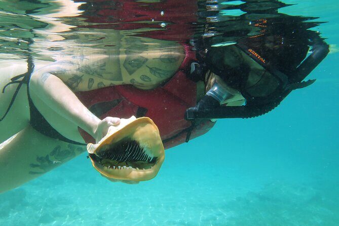 St Thomas Kayak and Sea Turtle Snorkel Excursion - What to Expect on the Tour