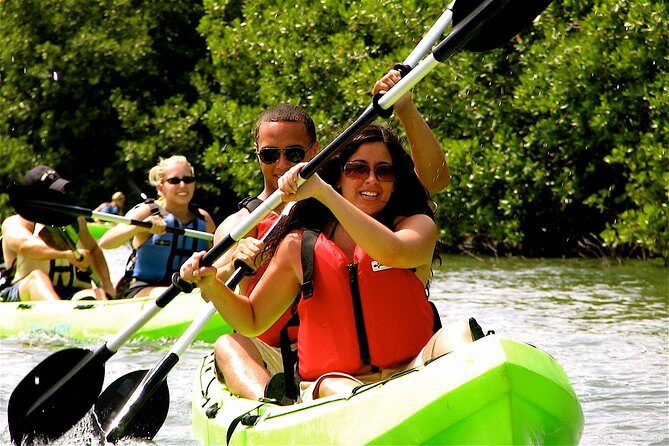 St Thomas Mangrove Lagoon Kayak and Snorkel Tour in the US Virgin Islands - Introduction