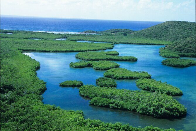St Thomas Mangrove Lagoon Kayak and Snorkel Tour in the US Virgin Islands - The Sum Up
