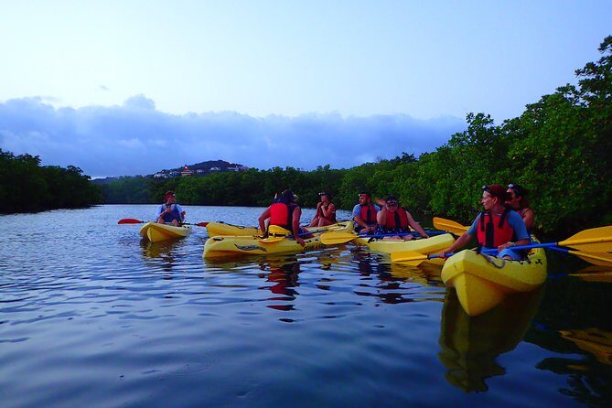 St Thomas Night Kayak Tour - Key Points