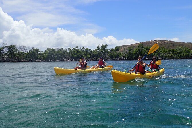 St Thomas Shore Excursion: Mangrove Lagoon Kayak and Snorkel Tour - Why Choose This Tour?