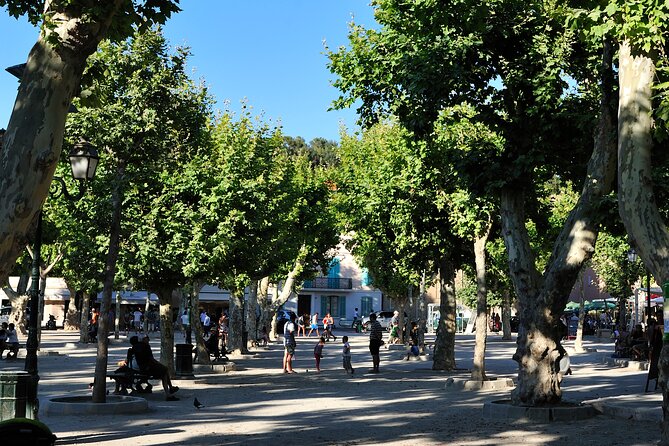 St-Tropez Day Tour from Cannes Small-Group and Shore Excursion - FAQ