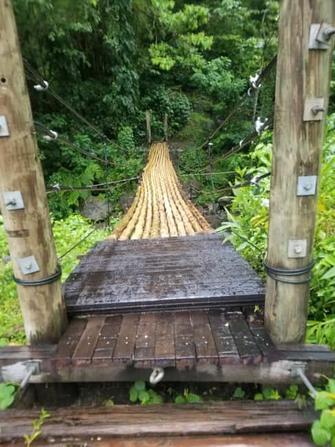 St. Vincent: Dark View Falls Tour - Key Points