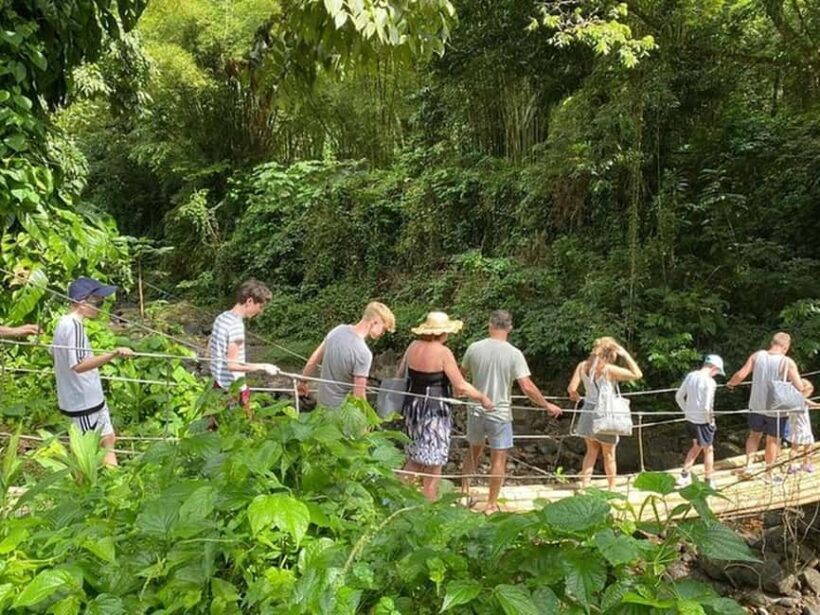 St. Vincent: Dark View Falls Tour - A Comprehensive Look at the Dark View Falls Tour