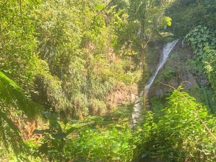 St. Vincent: Dark View Falls Tour - Who Should Consider This Tour?