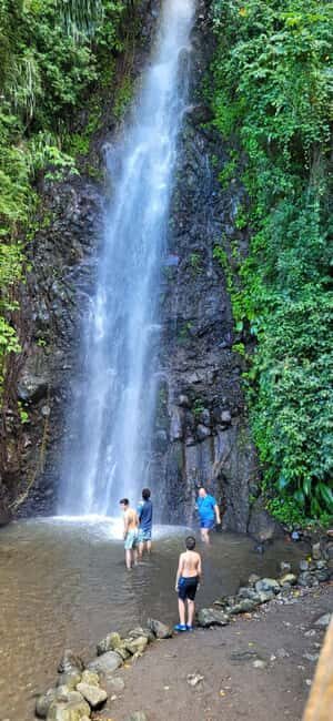St. Vincent: Leeward Island Tour with Dark View Falls - Authentic Experiences & Honest Feedback from Travelers
