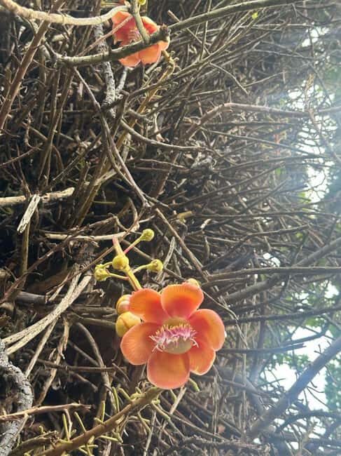 St. Vincent: Vermont Nature Trail - Why This Tour Works