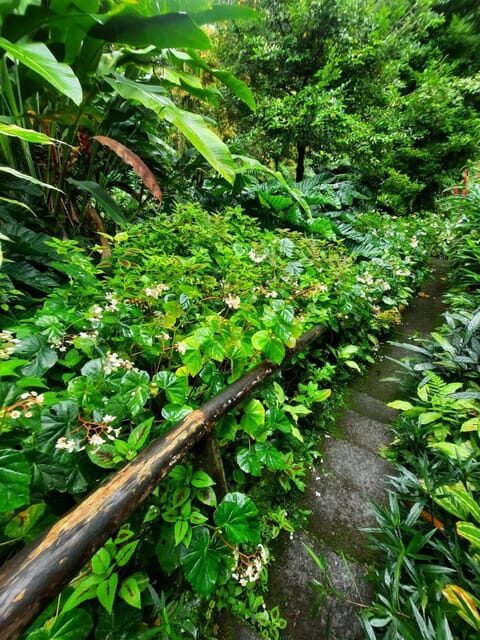 St. Vincent: Vermont Nature Trail - Final Thoughts