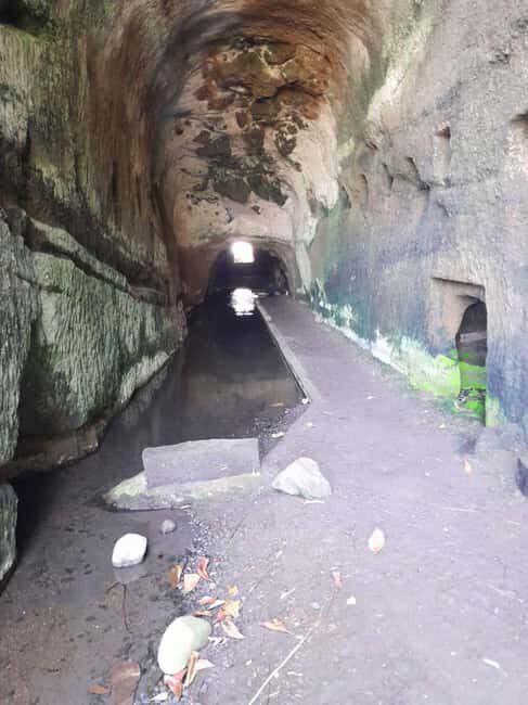 St Vincent: Windward Trifecta Tour with Trubb Taxi Tours - Practical Details and Tips