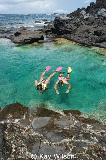 St Vincent: Windward Trifecta Tour with Trubb Taxi Tours - Final Thoughts