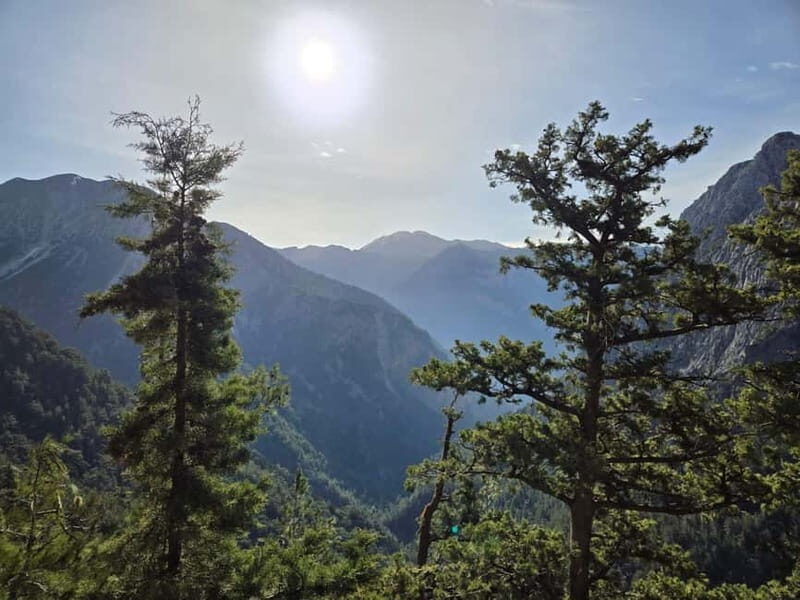 Stalos : Discover Samaria with professional guide! - What to Expect from Your Samaria Gorge Tour