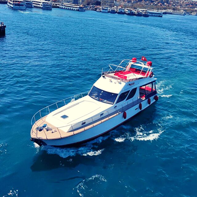 stanbul: Bosphorus Private Yacht Cruise with Tea and Coffee - Who Will Appreciate This Tour?