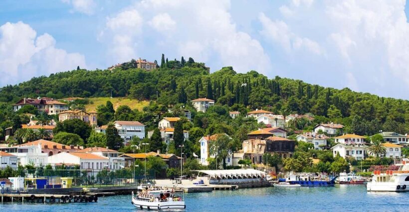 stanbul: Prince Island Full Day Tour - A Closer Look at the Tour Experience