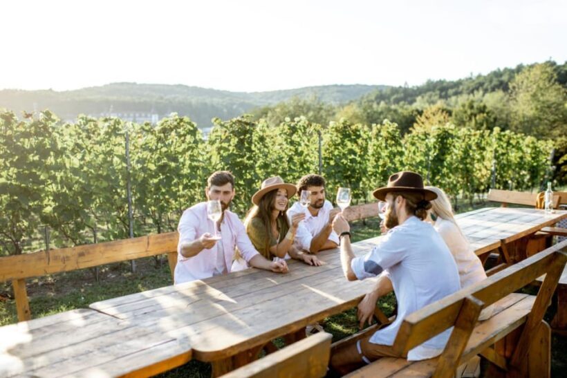 Stancija Collis: A Winery adventure in Rovinj - An In-Depth Look at the Stancija Collis Experience