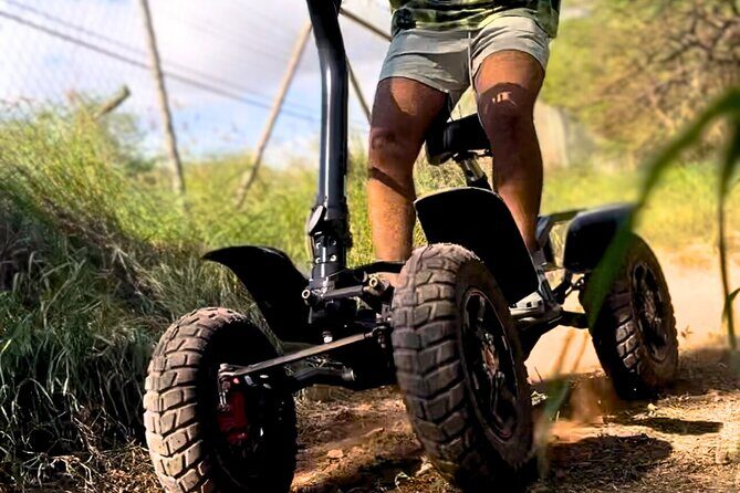 Stand Up ATV Adventure in Kapolei - Who Will Love This Experience?