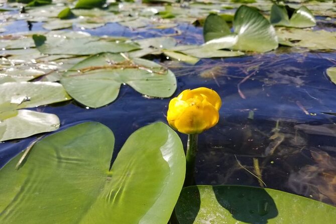 Stand Up Paddle at Skadar lake and Hiking from Valbona to Theth in 4 Days - Day 4: Paddleboarding on Skadar Lake and Scenic Return