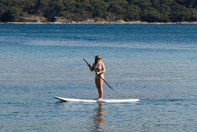 Stand Up Paddle Board Hire - 2 Hours - Introduction: What is the SUP Hire Experience?
