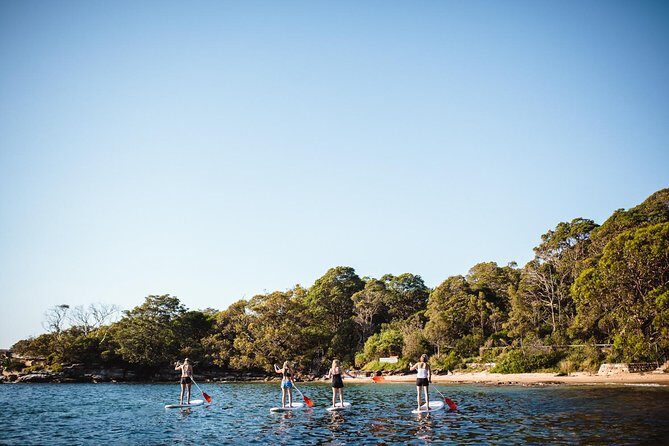 Stand Up Paddle Board Hire - 2 Hours - Practical Details: What You Need to Know