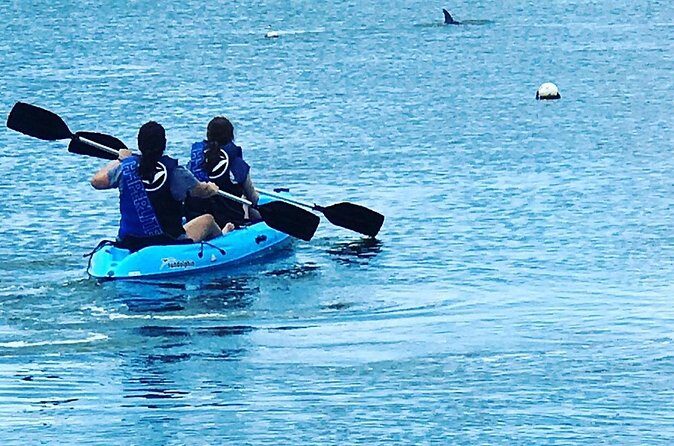 Stand Up Paddle Board Rental - FAQ