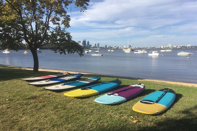 Stand Up Paddle Boarding - 2 Person Lesson - 1 Hour - Exploring Perth’s Swan River: A Personal Paddleboarding Lesson