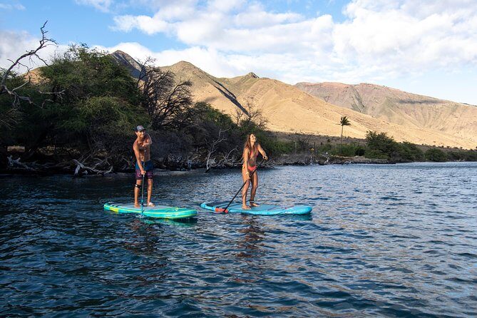 Stand Up Paddle Boarding Hire - FAQ