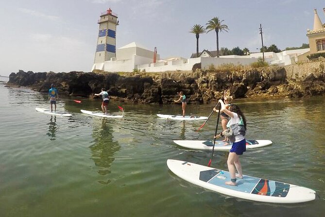 Stand Up Paddle Boarding Lesson of Cascais Bay - Authentic Feedback from Participants